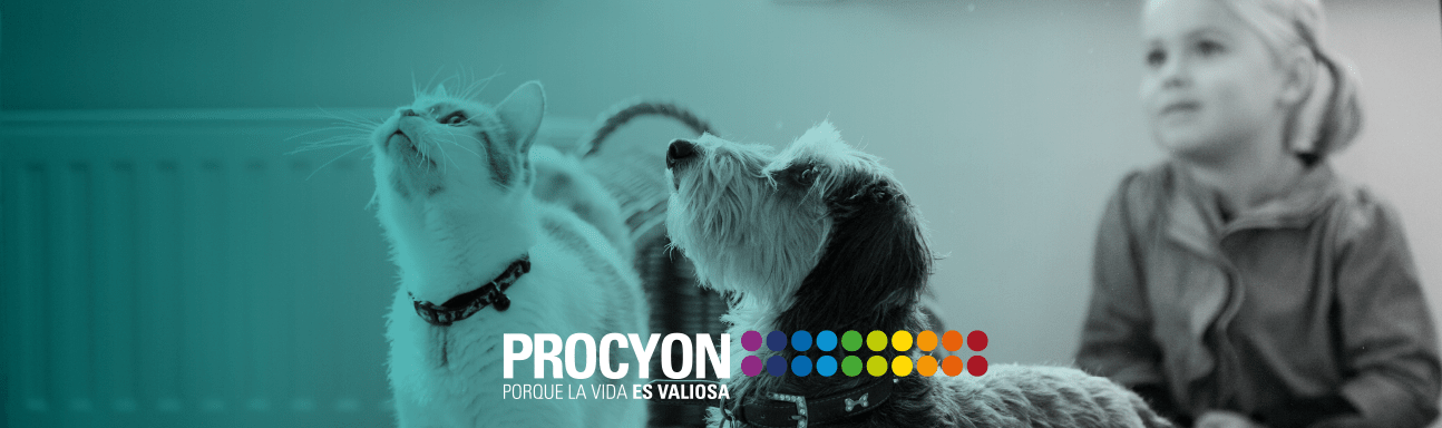 Procyon - Nobivac & Procyon