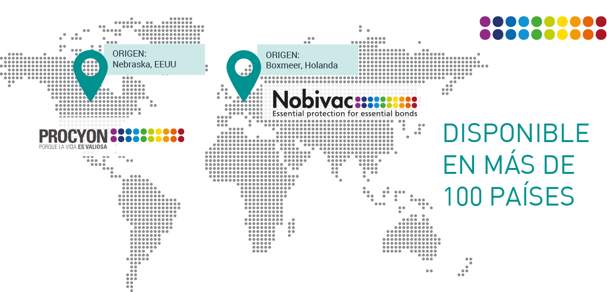 Nobivac - Nobivac & Procyon